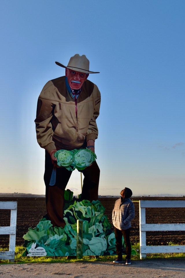 New Publication on Salinas Valley Roadside Agricultural Art | Tracy Perkins