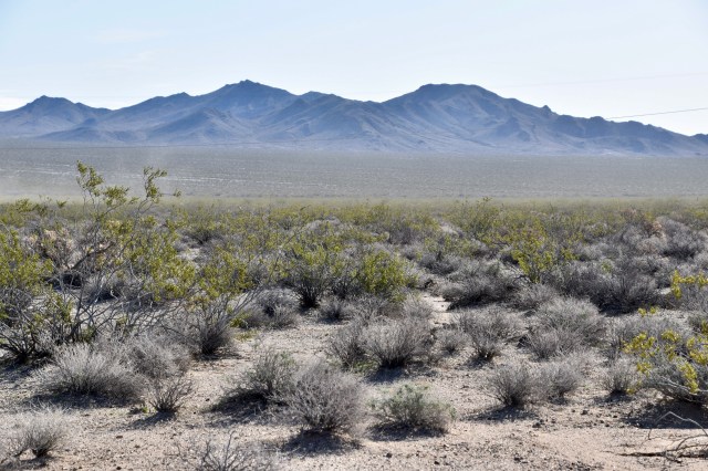 Avi Kwa Ame National Monument and the Ward Valley Archive | Tracy Perkins